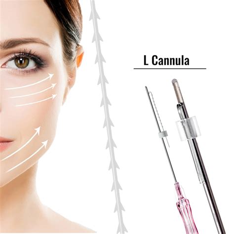 Deenora Body Contouring Medical Surgical Suture Pcl Cones Cog Korea Collagen Deenora