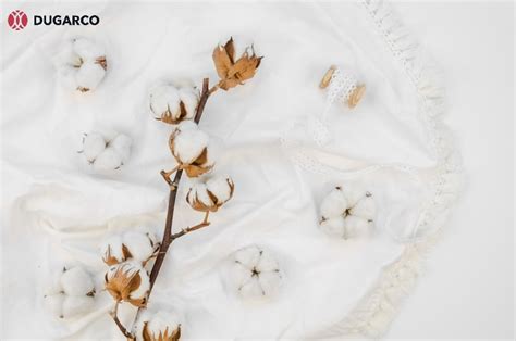 Cotton Vs Polyester Whats The Difference And Which Is Better