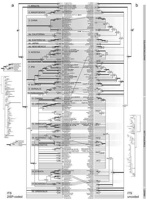 Figure 26 From Evolutionary History And Biogeography Of