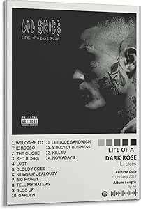 Wuyuart Life Of A Dark Rose Lil Skies Album Cover Canvas