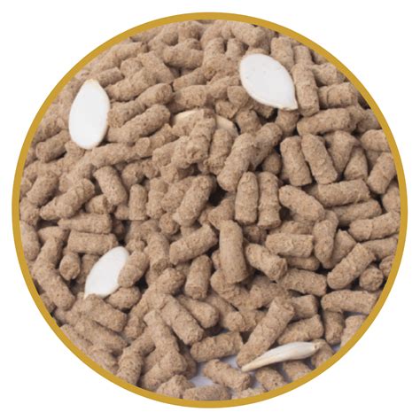 Pequenos Roedores 500g Nutribiótica