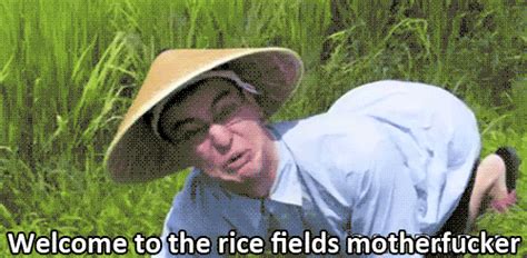 Welcome To The Rice Fields M Filthy Frank Know Your Meme