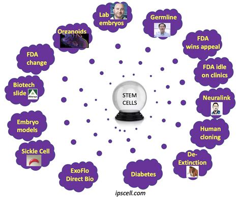 2023 Stem Cell And Regenerative Medicine Predictions The Niche