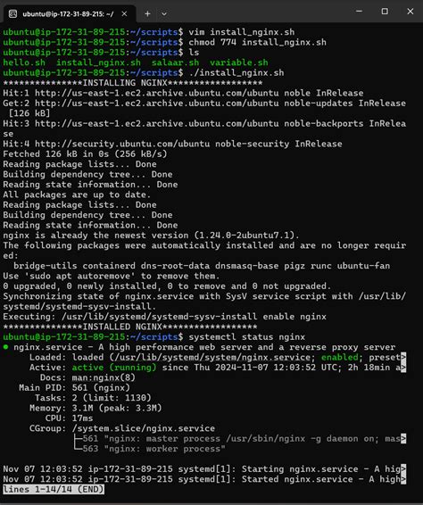Shell Scripting Basics For Devops Beginners