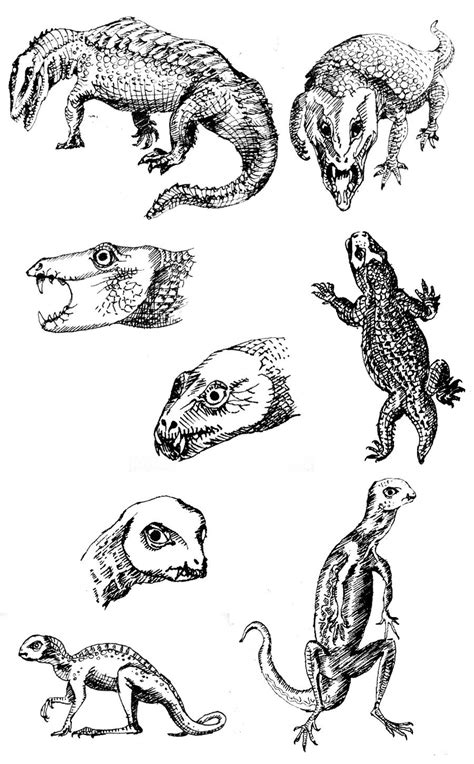 Crocodylomorpha By Reminegrest On Deviantart