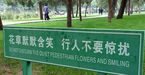 Translator Please Imgur