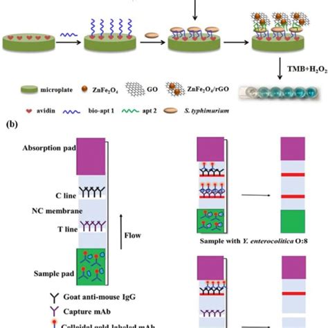 Design Of Colorimetric Sensor A Znfe 2 O 4 Rgo Based Sensor For S