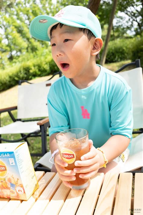 어린이음료 시원하게 립톤 제로슈가 아이스티 추천 네이버 블로그