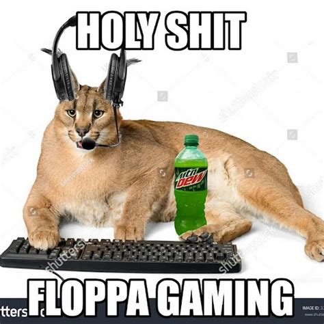 Floppa Gaming Uwu Youtube