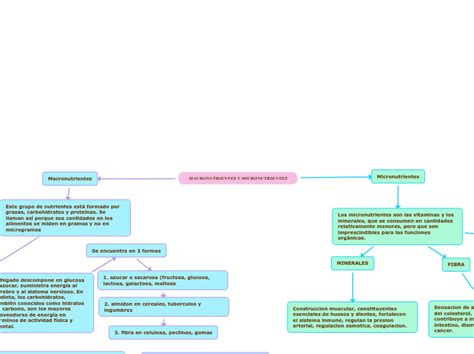 Macronutrientes Y Micronutrientes Stefy Mind Map