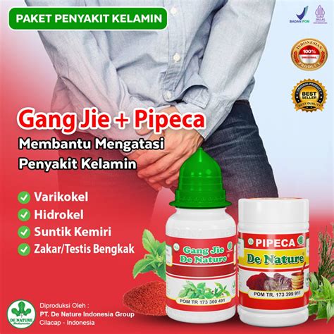 Jual Obat Varikokel Buah Zakar Bengkak Sebelah Testis Besar Sebelah