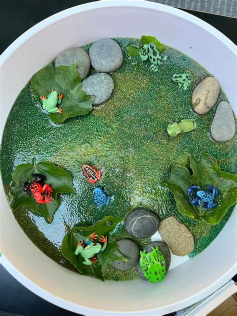 Chia Slime Frog Pond Sensory Play Artofit