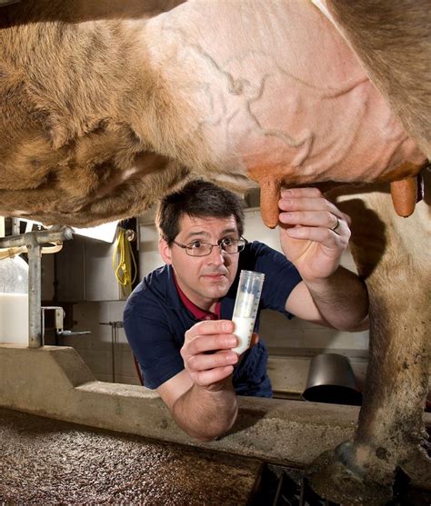 What Antibiotic Treats Mastitis