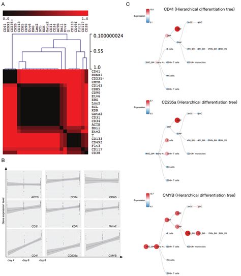 Gene To Gene Correlation Shown By Single Cell Gene Expression Analysis