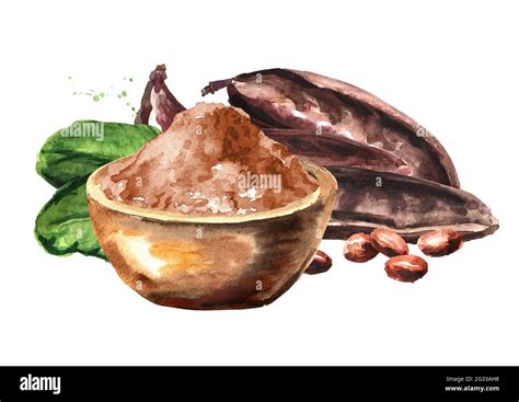 Carob Pods Beans And Powder In The Bowl Hand Drawn Watercolor