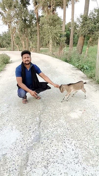 Panja Chhap Chura Lo 500 Youtube