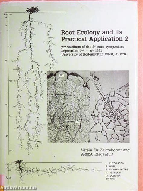 L Kutschera Root Ecology And Its Practical Application Verein Für