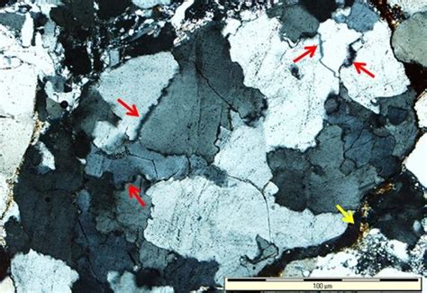 Thin Section Photomicrograph Showing Dissolution Crack Yellow Arrow Download Scientific