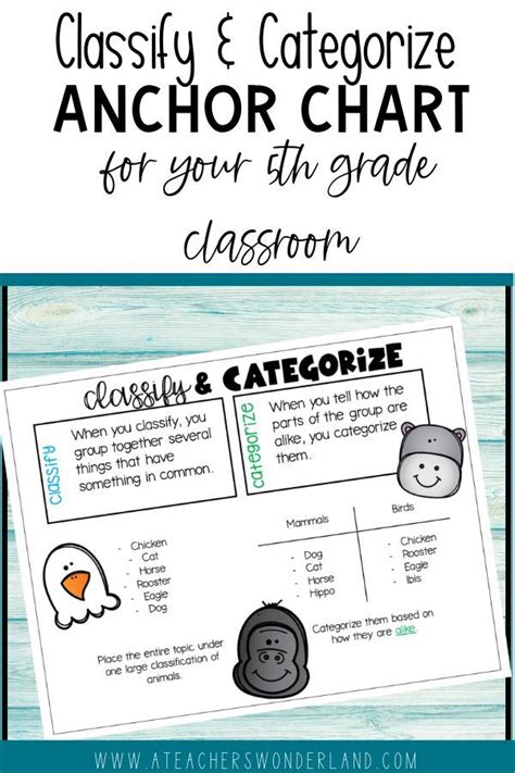 Classify And Categorize Anchor Chart Anchor Charts 6th Grade Reading