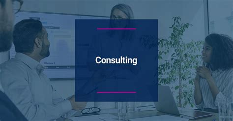Consulting Support Services Lumivero