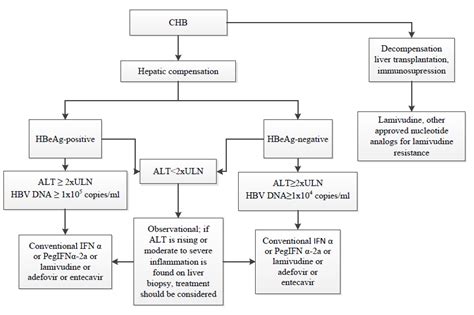 Flow Chart For Chronic Hepatitis B Antiviral Treatment Download