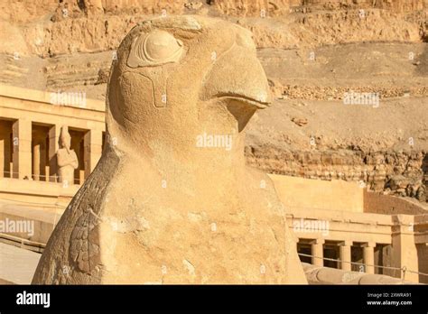 The Falcon Headed God Horus Stands Guard At The Entrance Of The