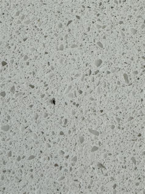 Tiny Tiny Black Bug R Bugidentification