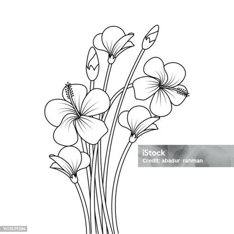꽃과 꽃 봉오리 그림 아이들을위한 색칠 공부 페이지 스케치 북 0명에 대한 스톡 벡터 아트 및 기타 이미지 0명 검은색 계절 Istock