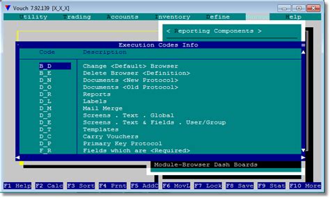Info The Execution Codes