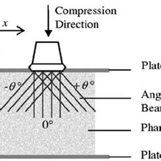 PDF Spatial Angular Compounding For Elastography Using Beam Steering On Linear Array Transducers