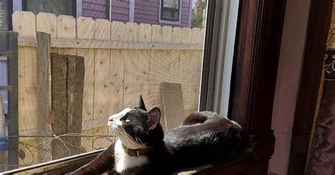 Baxter Album On Imgur