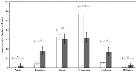 Insects In The City Does Remnant Native Habitat Influence Insect Order