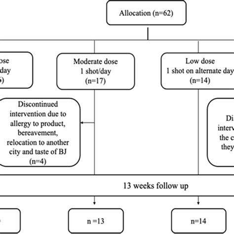 Flowchart Of Participants Recruited Into The Feasibility Study