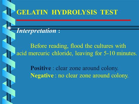Gelatin Hydrolysis Test Positive At Norma Milewski Blog