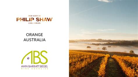 Interview With Damian Shaw Youtube