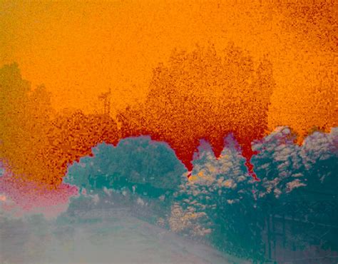 Forever By Swanns Great Days