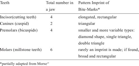 Imprint Of Bite Marks In Humans From Different Teeth Download Table