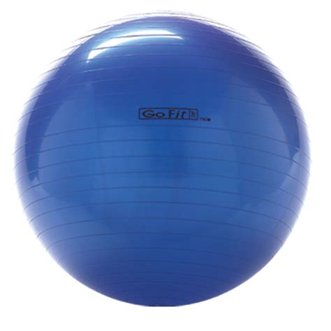 Gofit Exercise Ball With Pump 75cm Pro Hockey Life