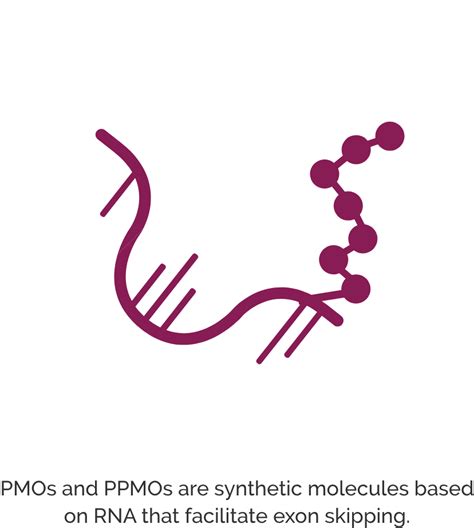 Exon Skipping Therapy In Duchenne
