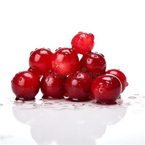 Award Winning Cranberry Product Photography On White Background Stock