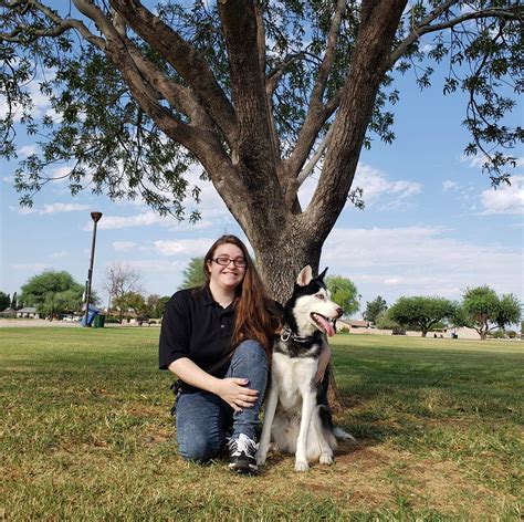 Grey Hare Bookkeeping Phoenix Az