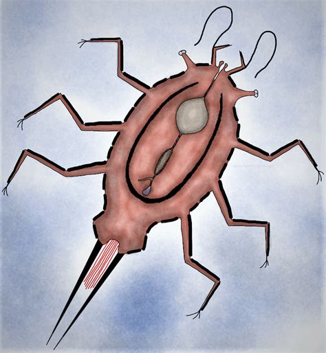 Fossil Pharyngeal Teeth Of Grass Carp Group And Their Implications For