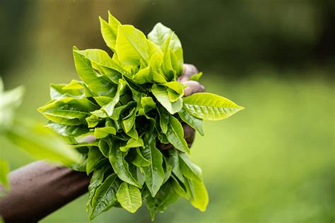 Responsible Contracting Pilot Etp