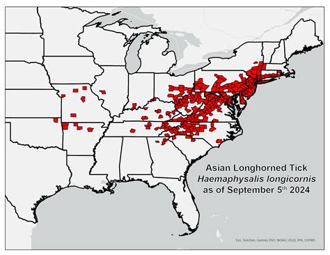 H Longicornis 11 Sep 2024 The Tick App
