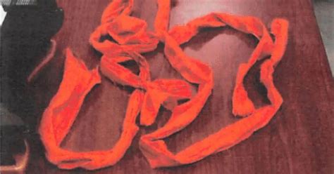 Epstein Appears Unconscious In Disturbing Post Suicide Attempt Photos