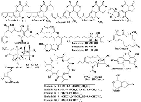 Chemical Structures Of The Main Mycotoxins 2 Download Scientific Diagram