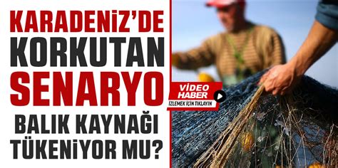 Karadenizde Korkutan Senaryo Karadenizde Balık Stokları Azalıyor