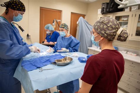 Dvids News Veterinary Readiness Activity Fort Belvoir Nips It In