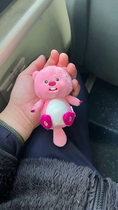 내가 뽁은 인형 루피 Youtube