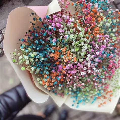 Gipsofilijos Puokštė Karališkos Gėlės